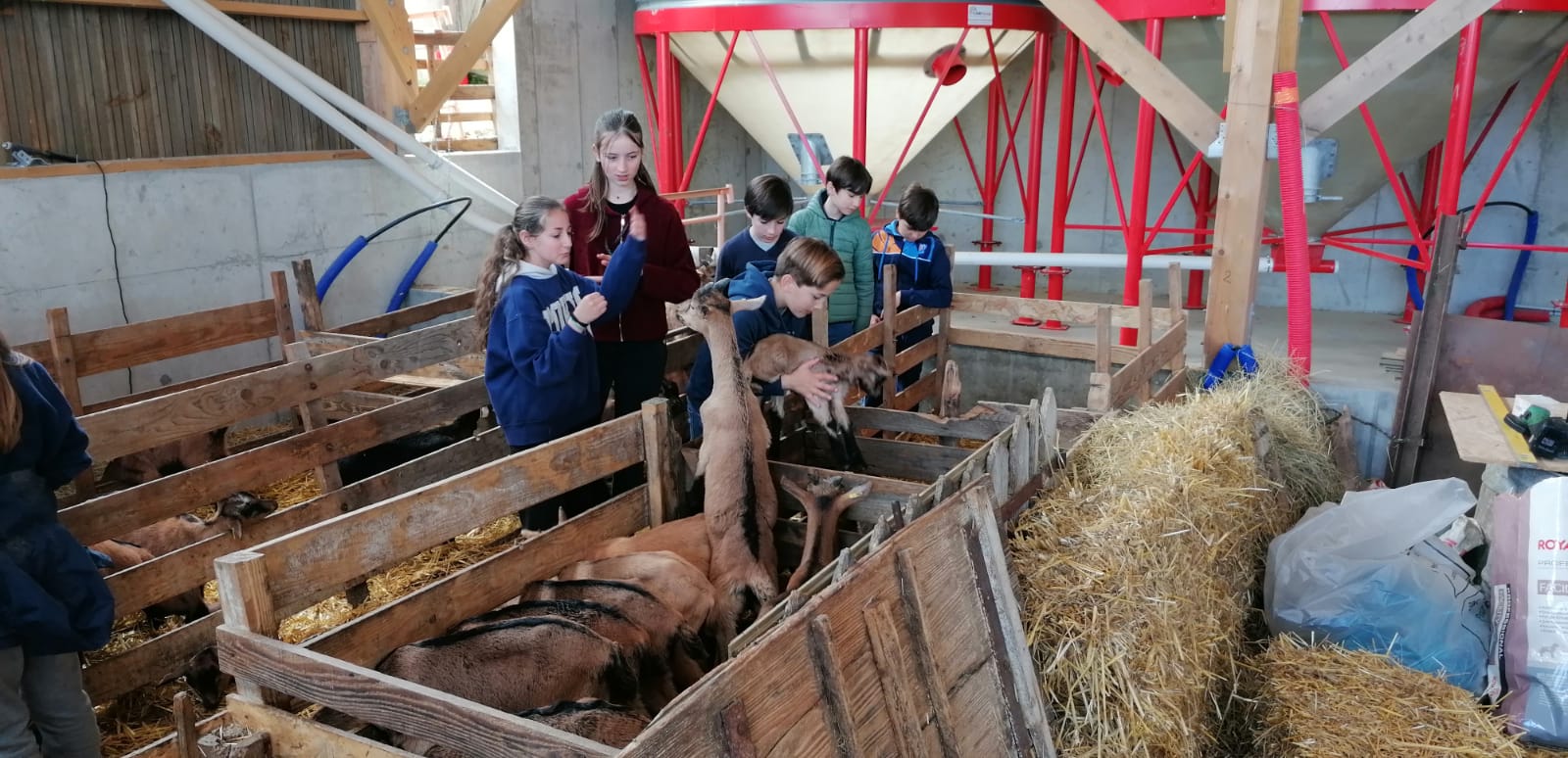 Les Sixièmes à la ferme - Institution Saint-Joseph Tassin la Demi Lune