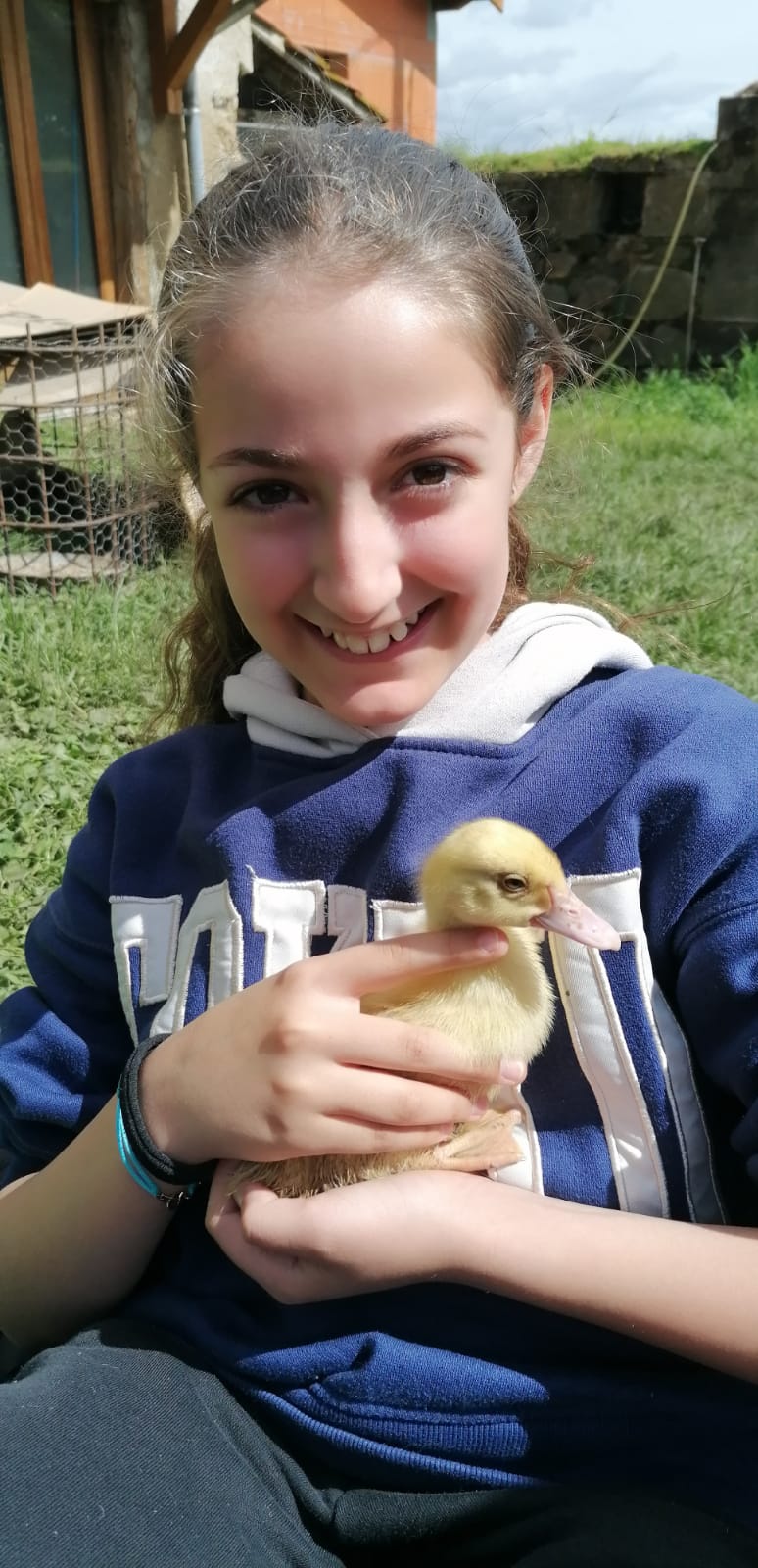 Les Sixièmes à la ferme - Institution Saint-Joseph Tassin la Demi Lune